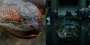 Best Snakes In Movie History Ranked ScreenRant