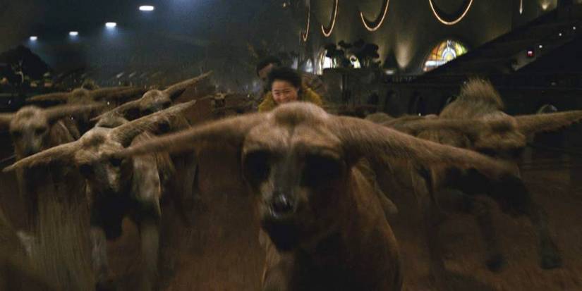 Star Wars: 10 Best Rose Tico Quotes