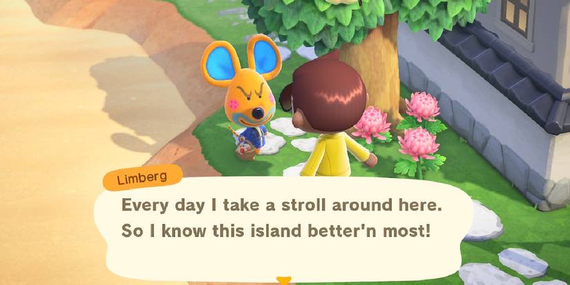 Animal Crossing: Every Daily Task To Do in 2022