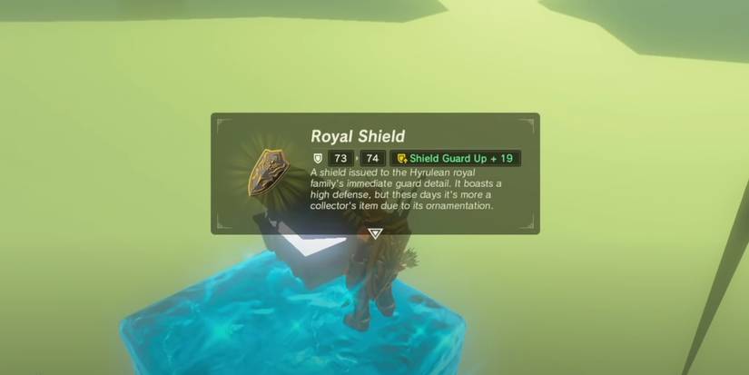BOTW's Hardest-To-Reach Impossible Treasure Chests (& What's In Them)
