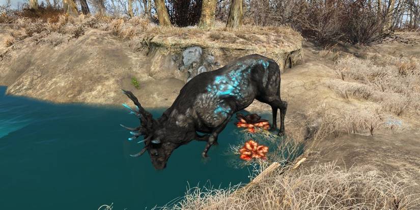 10 Side Quests In Every Open World Game
