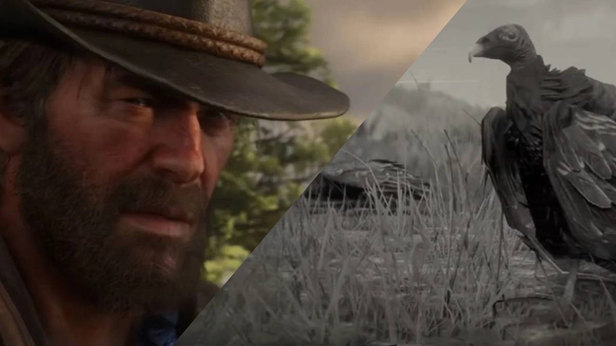 Red Dead Redemption 2 Vulture Gets Hilariously Trapped Under a Corpse