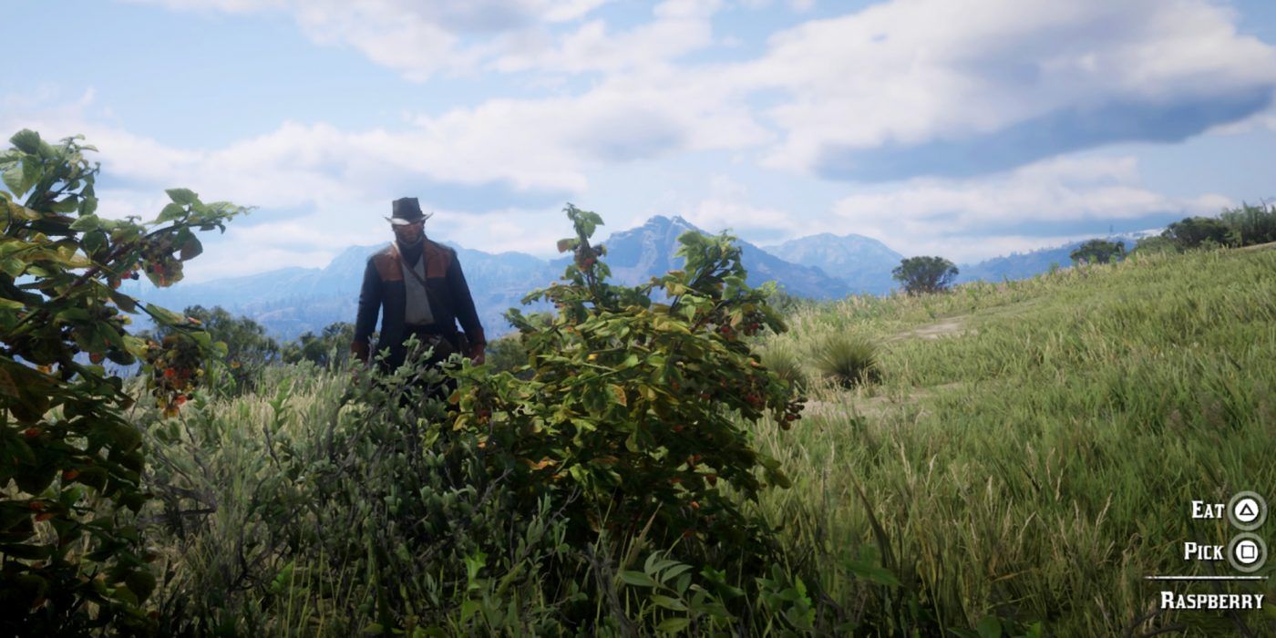 Red Dead Redemption 2: Where To Find Raspberries