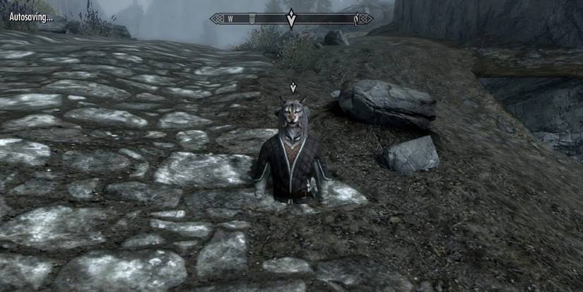 Skyrim: Every Invisible Chest Location