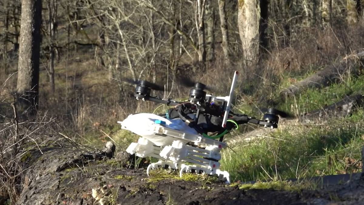 This Robotic Bird Can Land On Branches, And It's Wild