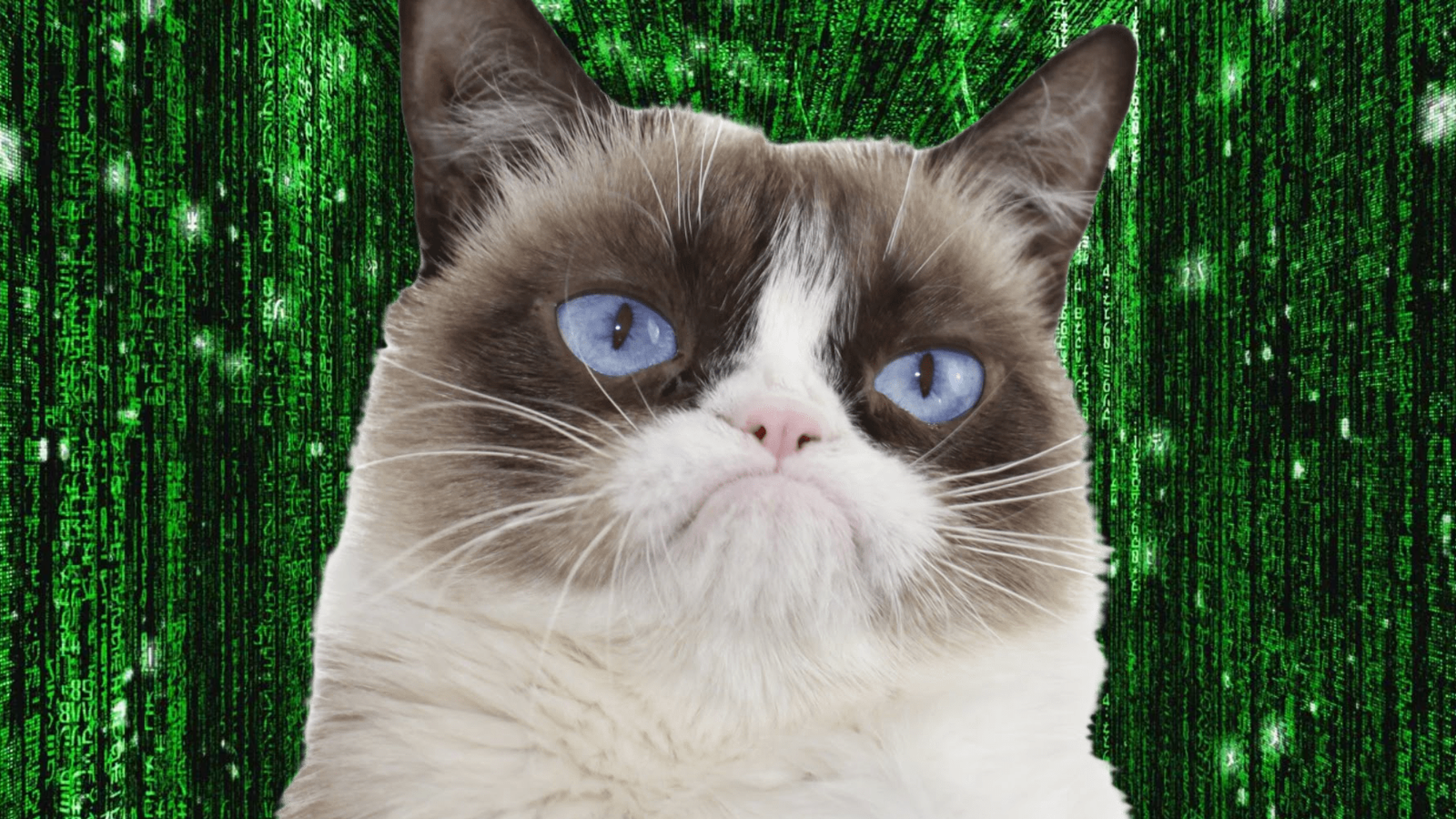 The Matrix Resurrections End Credits Scene Is An Insult