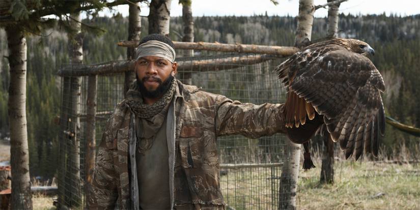 Joe Pickett Cast & Character Guide: Where You've Seen Michael Dorman ...
