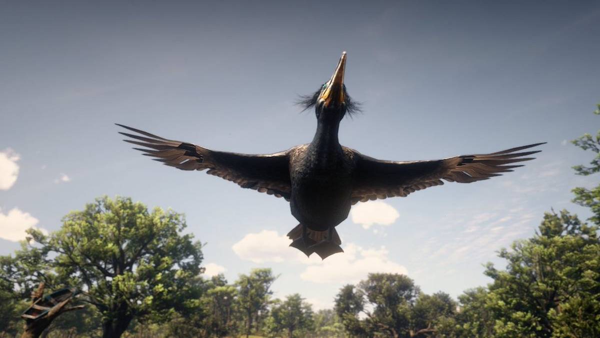 Flight feather rdr2 - Xalam.blog