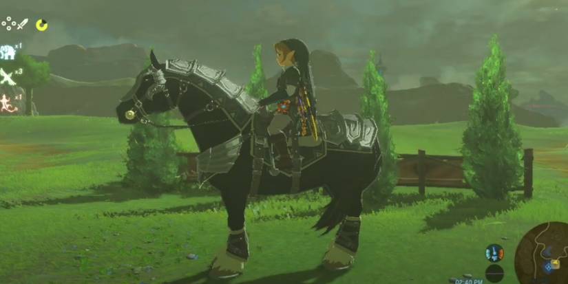 Zelda: Best Minigame Rewards In Breath of the Wild