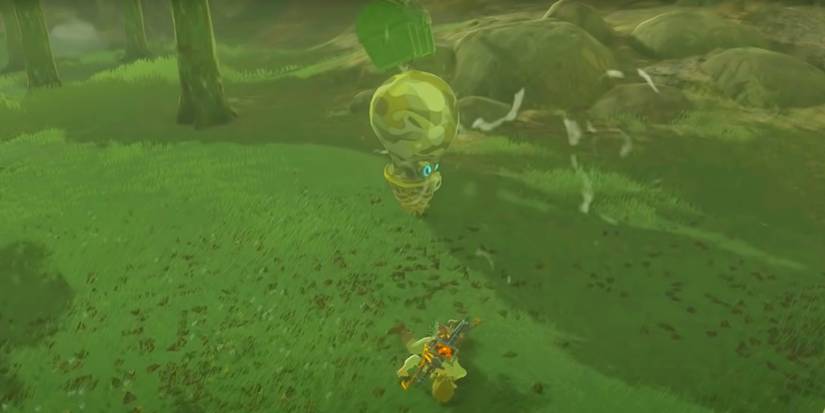 BOTW's Most Entertaining Ways For Link To Die