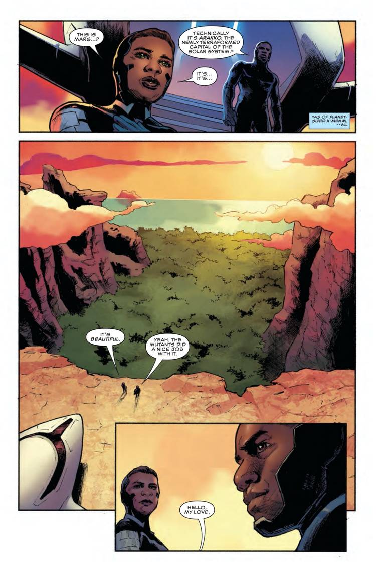 Black Panther Reveals How Vibranium Has Corrupted Wakanda