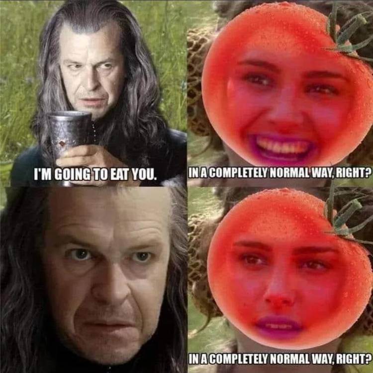 The Fellowship Of The Ring's 20th Anniversary: 10 Memes That Will Have ...