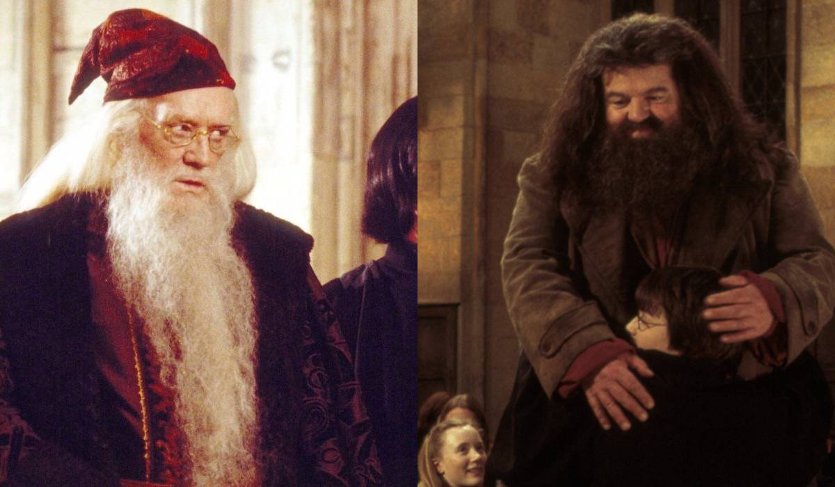 Dumbledoor Chamber Of Secrets