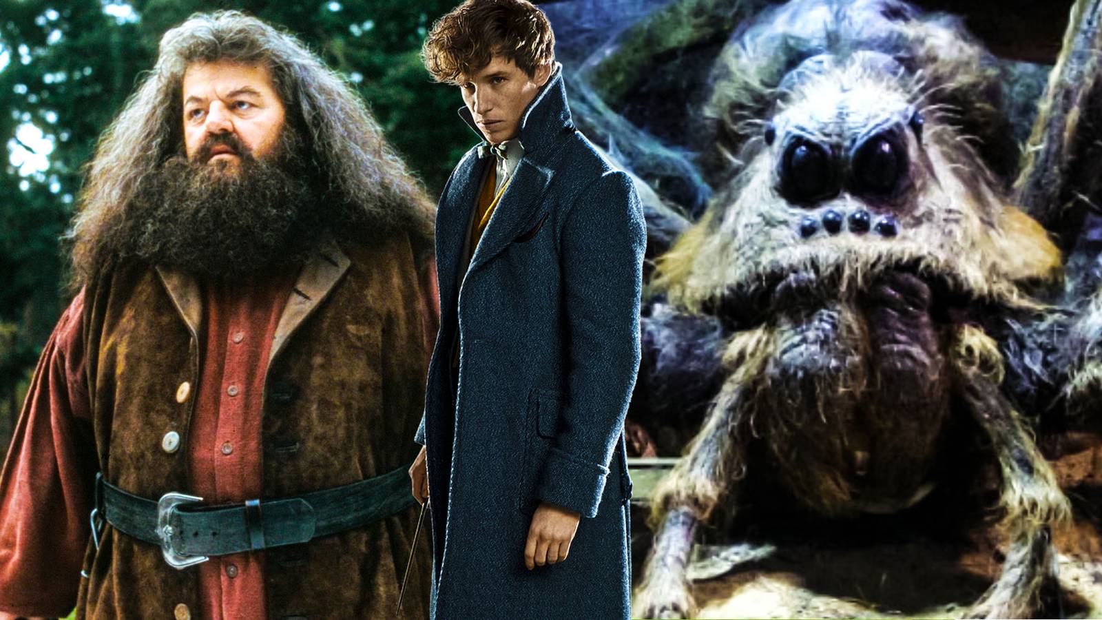 Fantastic Beasts Explains How Hagrid Got Aragog - Harry Potter Theory ...