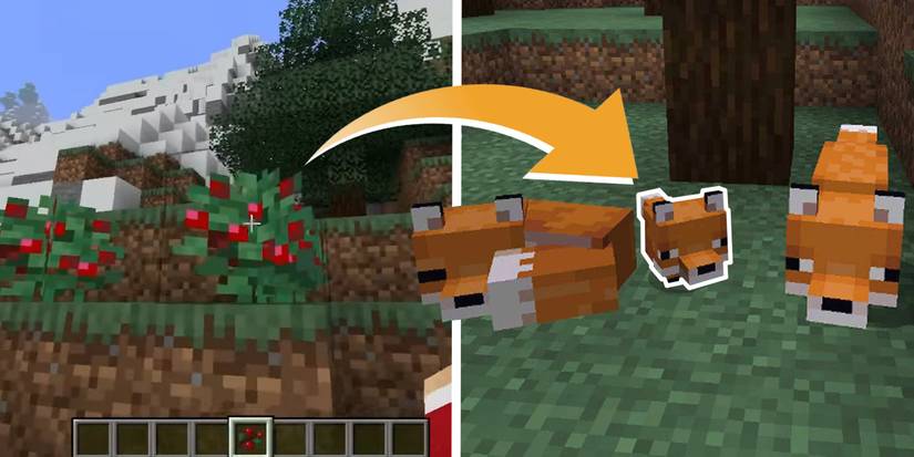 Minecraft: How to Breed Foxes