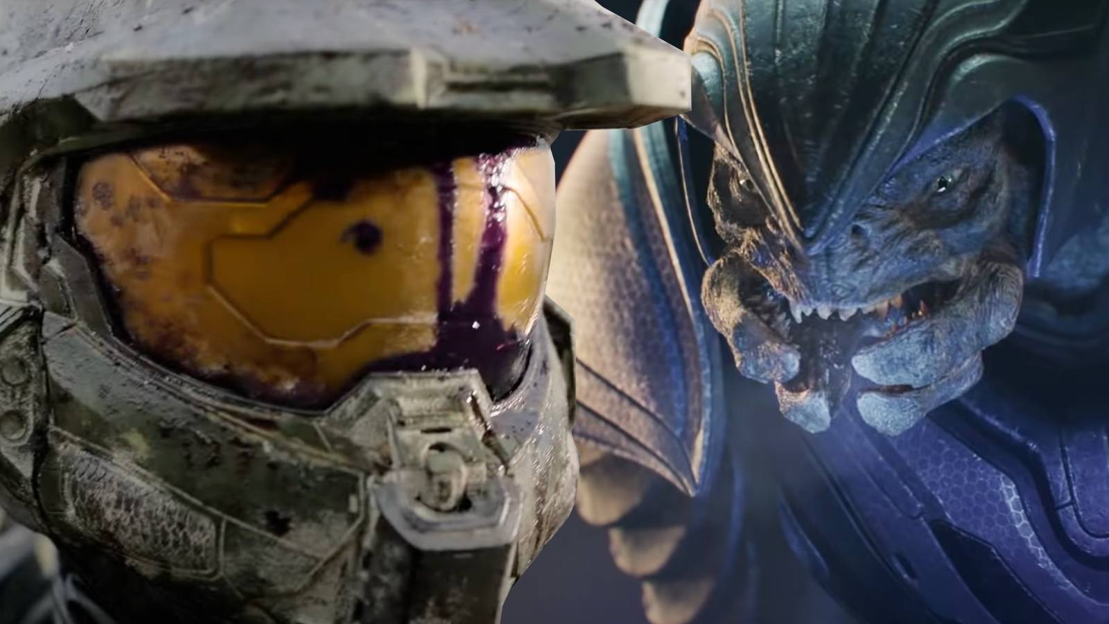 Halo: Every Alien Species In New Trailer