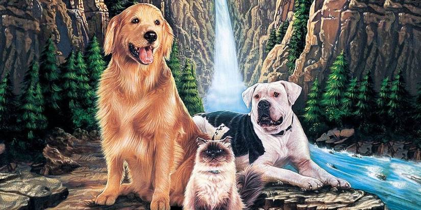 10 Best Golden Retriever Movies and TV Shows Featuring The Beloved Breed
