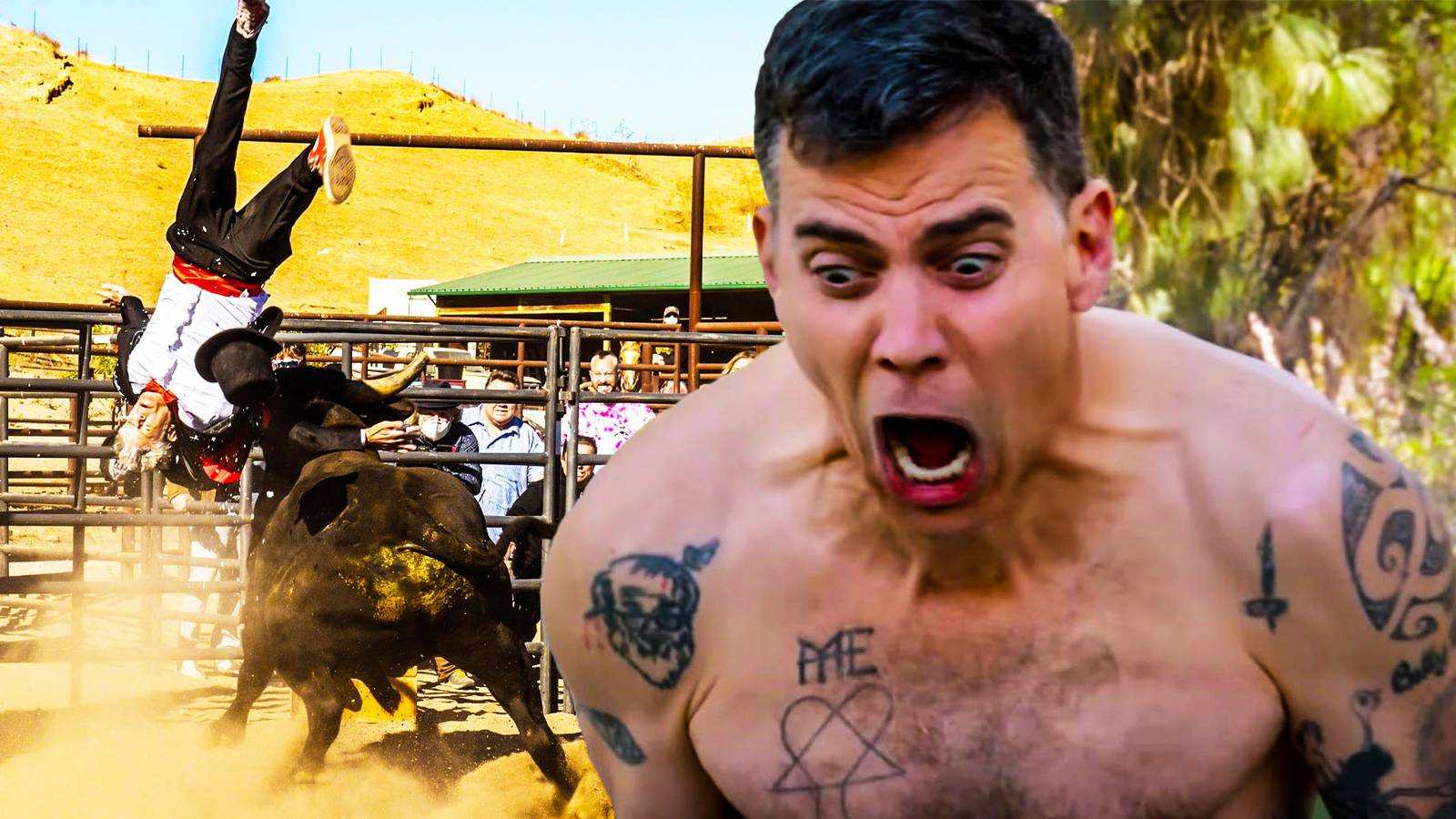 Jackass: Every Major Injury The Cast Has Sustained In 7 Movies