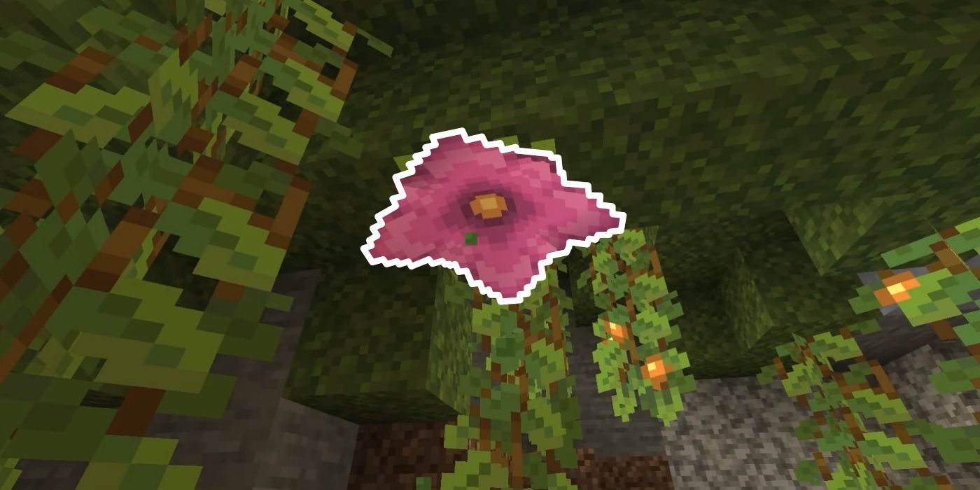 Minecraft: How to Get Spore Blossoms (& What It's For)