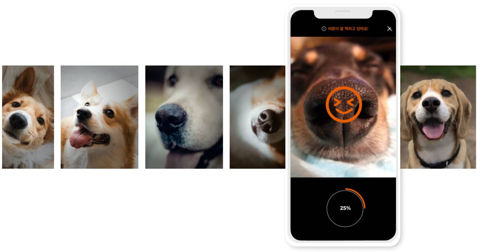 This App Biometrically Scans A Dog's Unique Nose Patterns As An ID