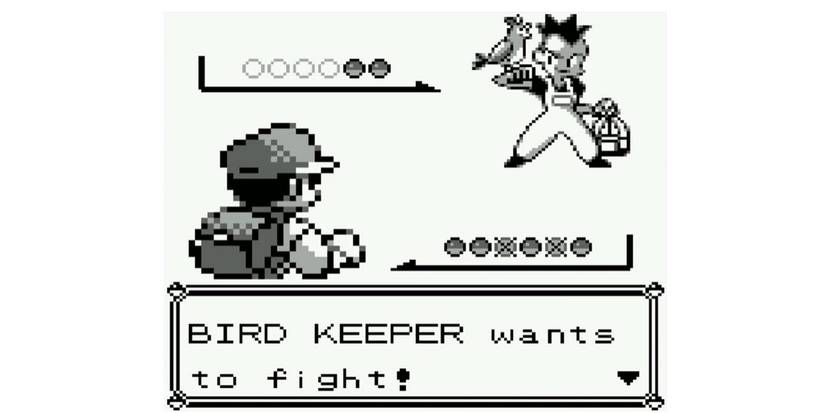 Every Real Animal That Exists In The Pokémon Universe