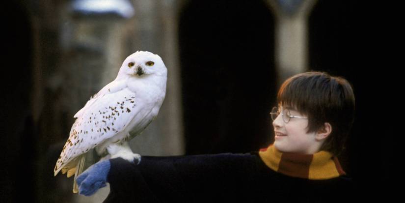 10 Reasons Why Harry Potter and the Sorcerer’s Stone Still Holds Up 20 ...
