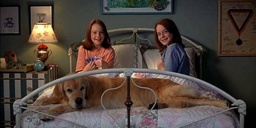10 Best Golden Retriever Movies and TV Shows Featuring The Beloved Breed