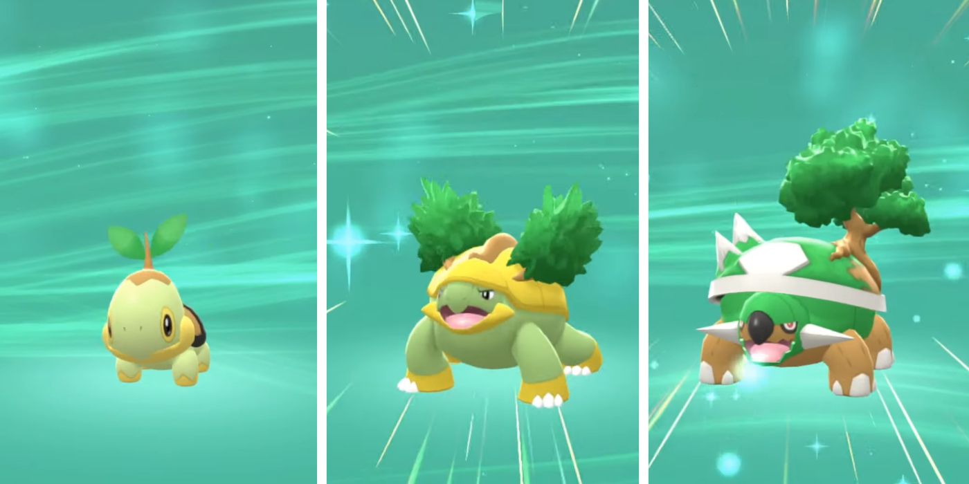 Pokemon Turtwig Evolution Chart