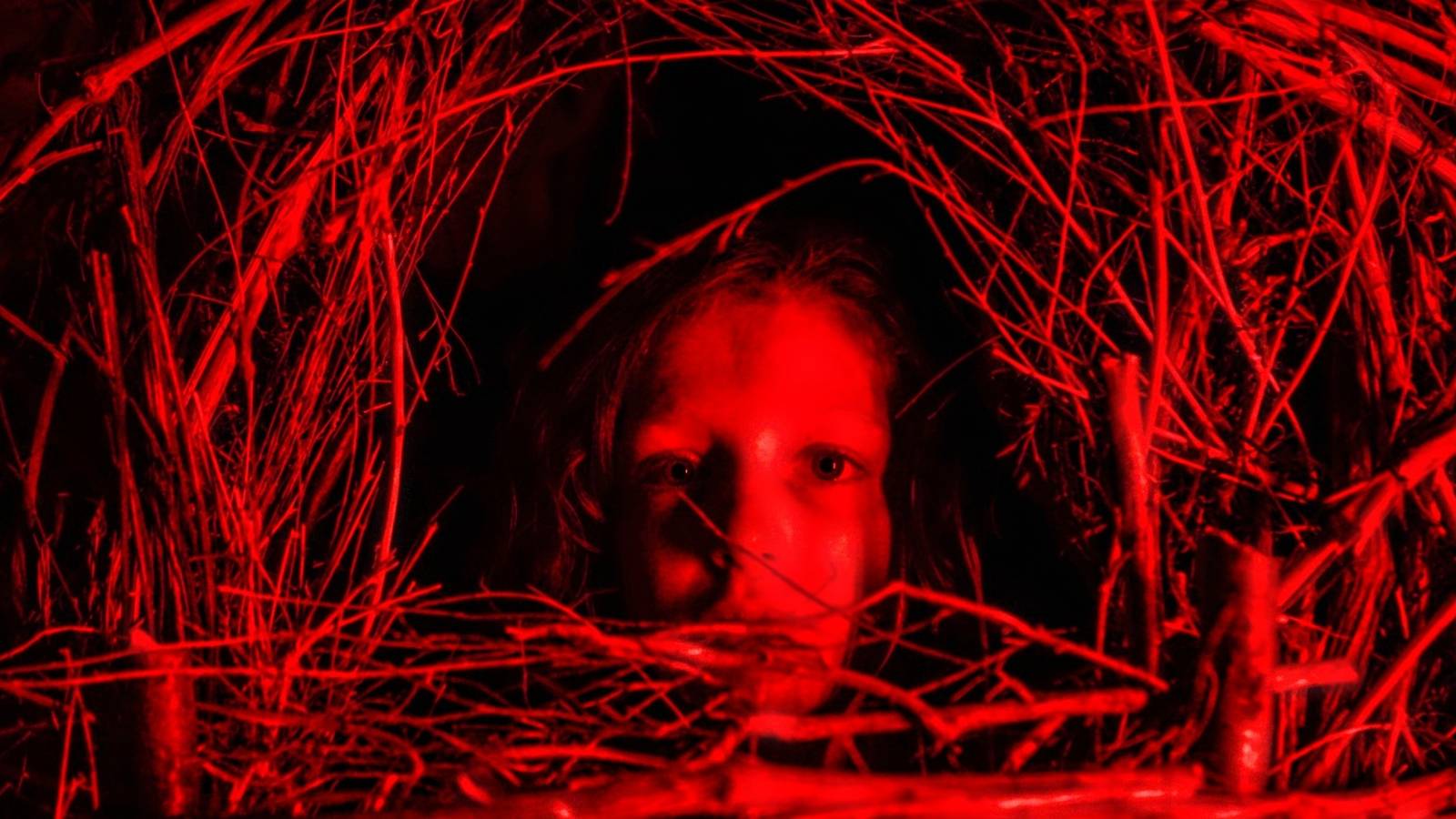 A Classic Horror Story's Ending & Post-Credit Scene Explained