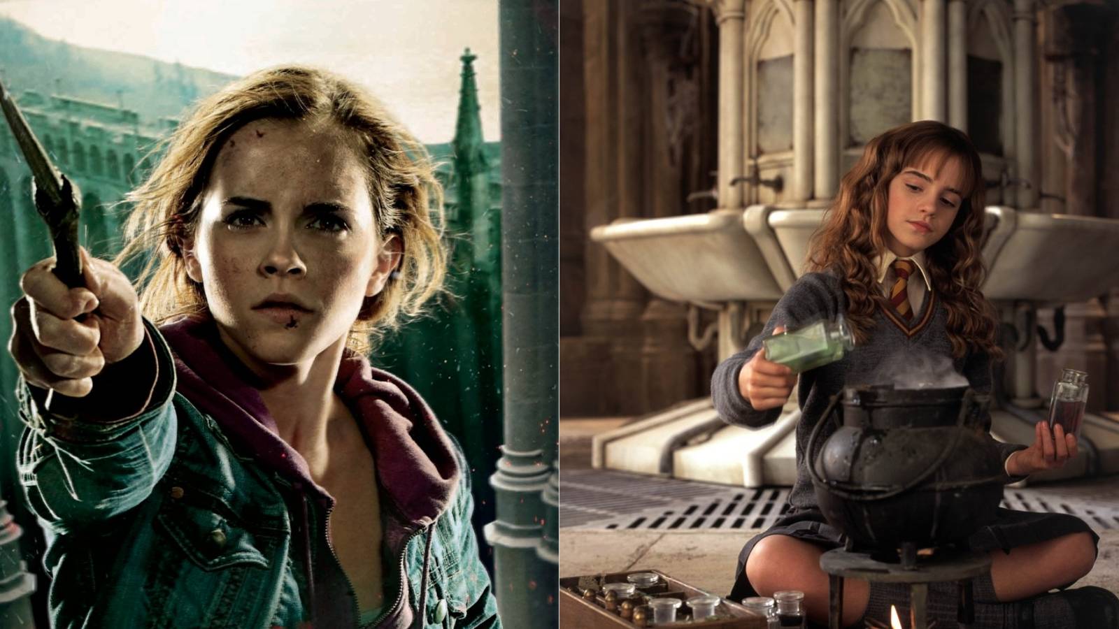 10 Quotes That Prove Hermione Is The Best Wizard In The Harry Potter Movies