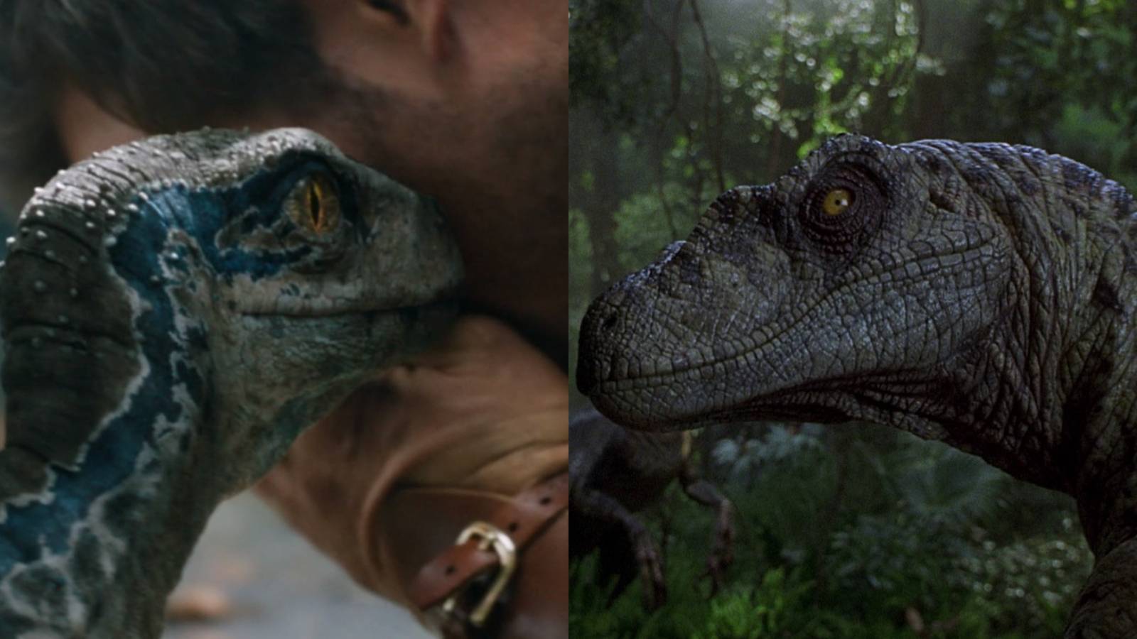 Jurassic World: 10 Facts About The Velociraptors Only Hardcore Fans Know