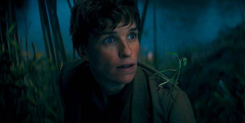 Fantastic Beasts: 7 Ways Newt Scamander Has Changed Since The First Movie