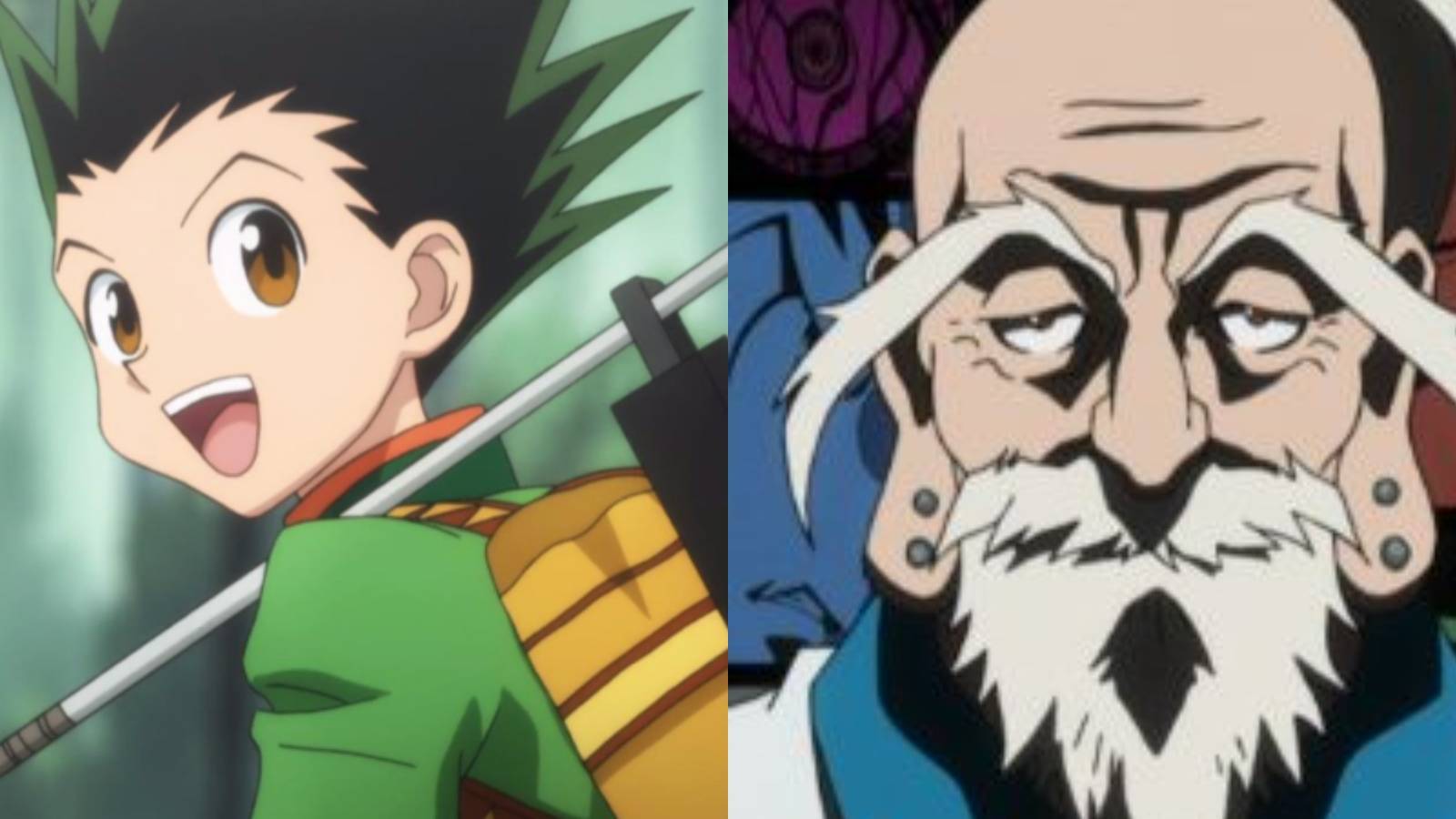 Hunter X Hunter: 10 Characters Who Can Defeat Gon Freecss