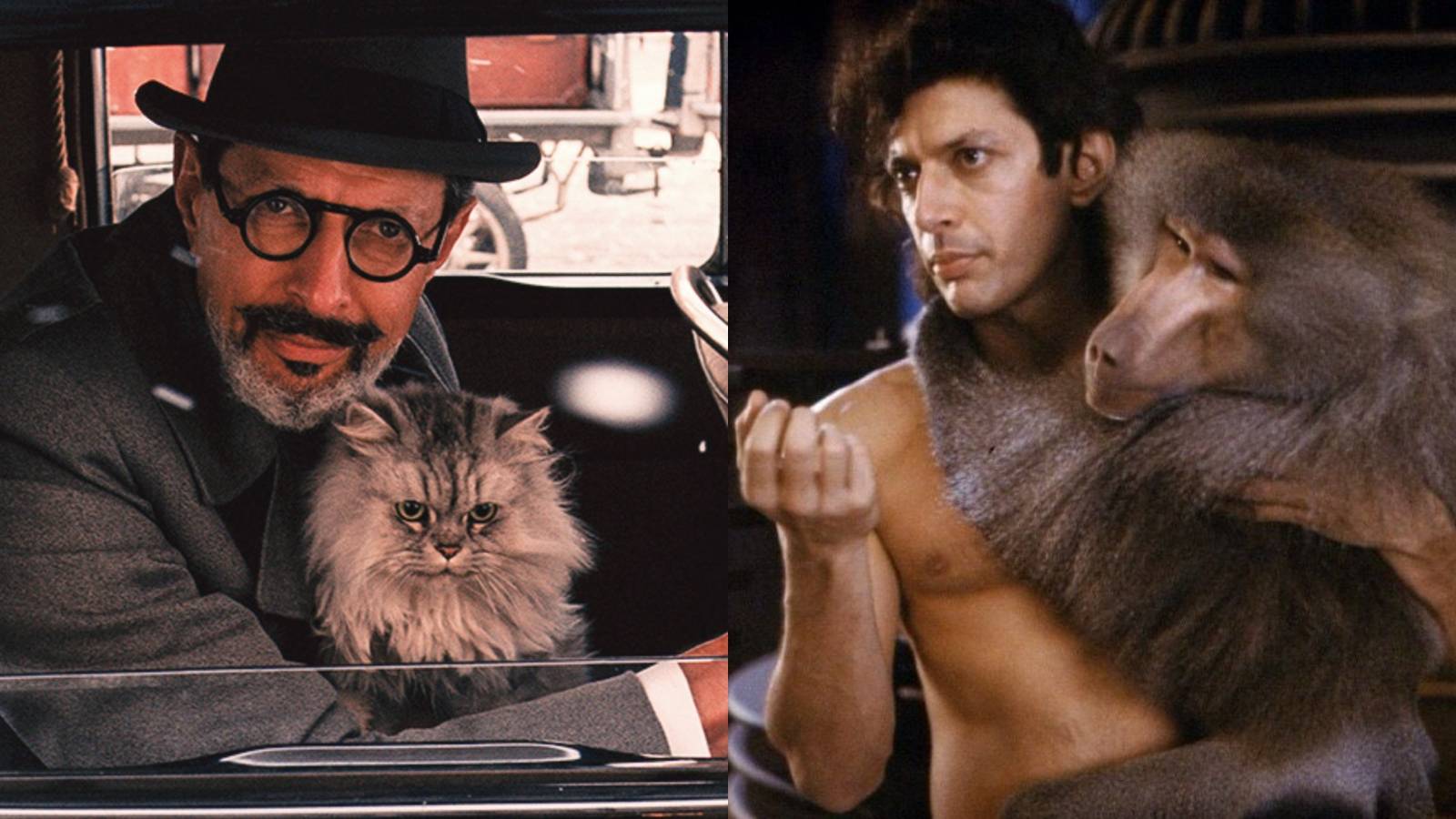 The 10 Best Jeff Goldblum Movies, According To IMDb