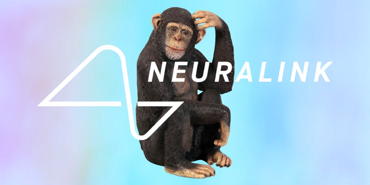 Musk's Neuralink Says You Have To Kill Monkeys So You Don't Kill Humans