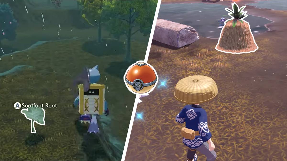 Pokémon Legends: Arceus - How to Get (& Use) Sootfoot Roots