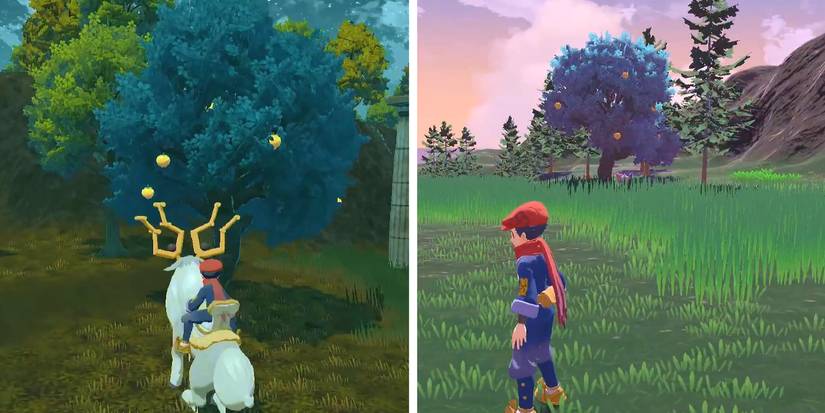 Pokémon Legends: Arceus - "The Taste of Home" Walkthrough
