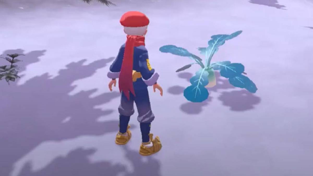 Pokémon Legends: Arceus - Sand Radishes Guide (Locations & Uses)