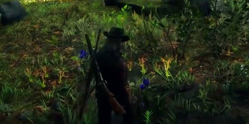 RDR2 Violet Snowdrop Locations & Crafting Recipe