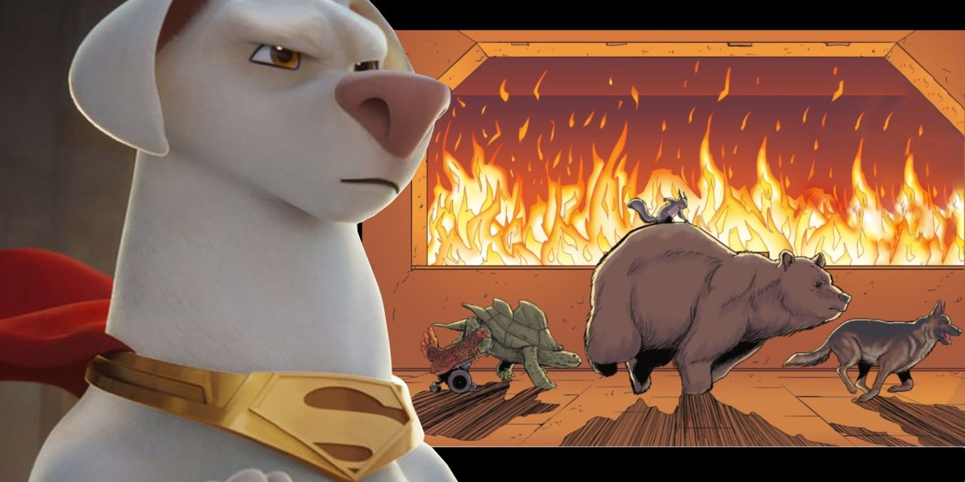 Batman's Dog Has Recruited A Super-Pets Team No DC Movie Could Ever Use