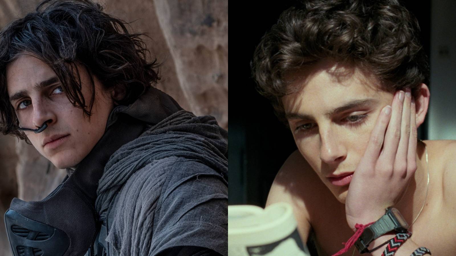 Timothée Chalamet's 10 Highest Grossing Movies, According To Box Office ...