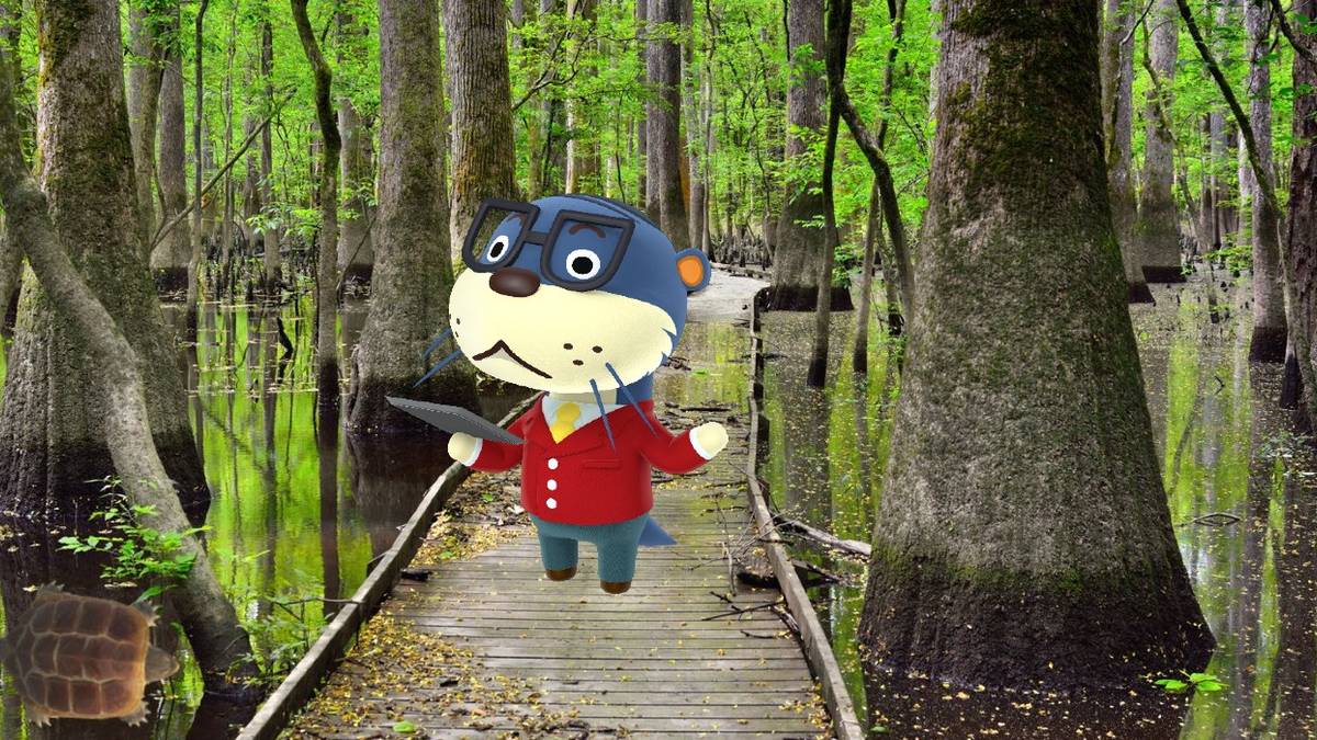 Animal Crossing Swamp Shack Gets High Rating From Happy Home Academy