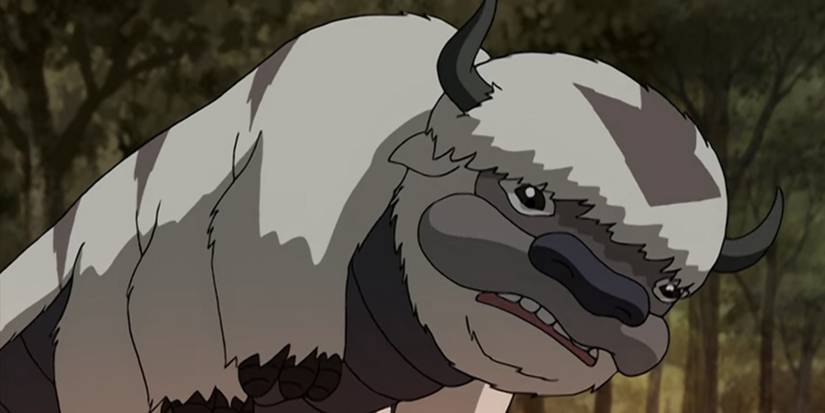 The Last Airbender: 10 Worst Episodes, According To Reddit