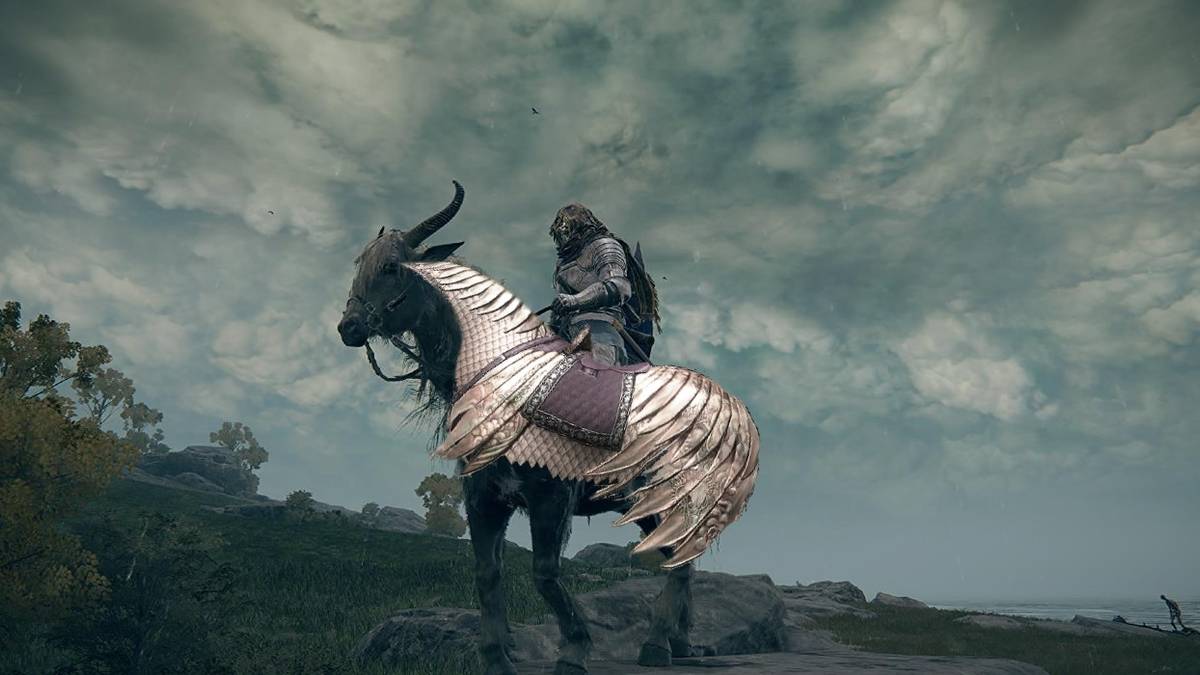Elden Ring Players Petition FromSoftware For Horse Armor