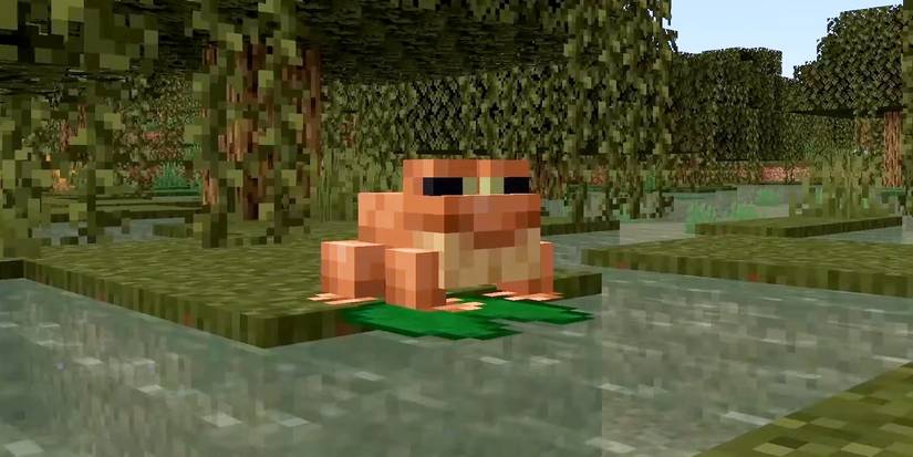 Minecraft Removes Features From The Wild Update, Disappointing Fans