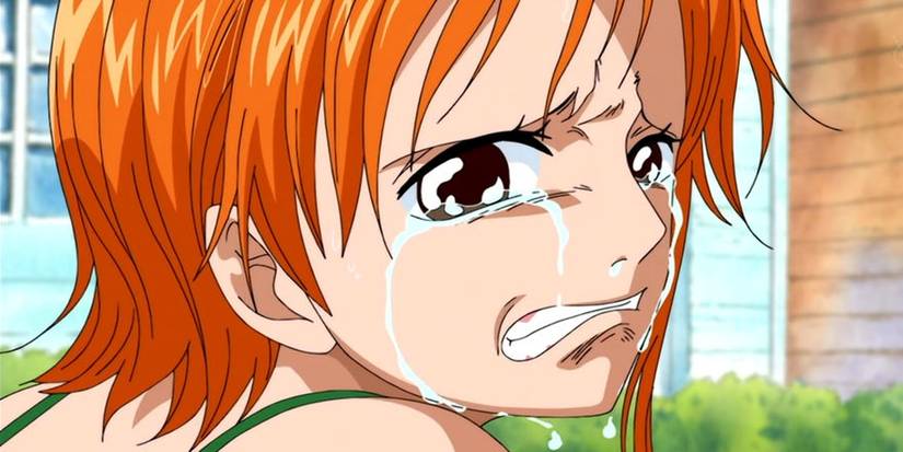 One Piece's 10 Most Emotional Flashbacks