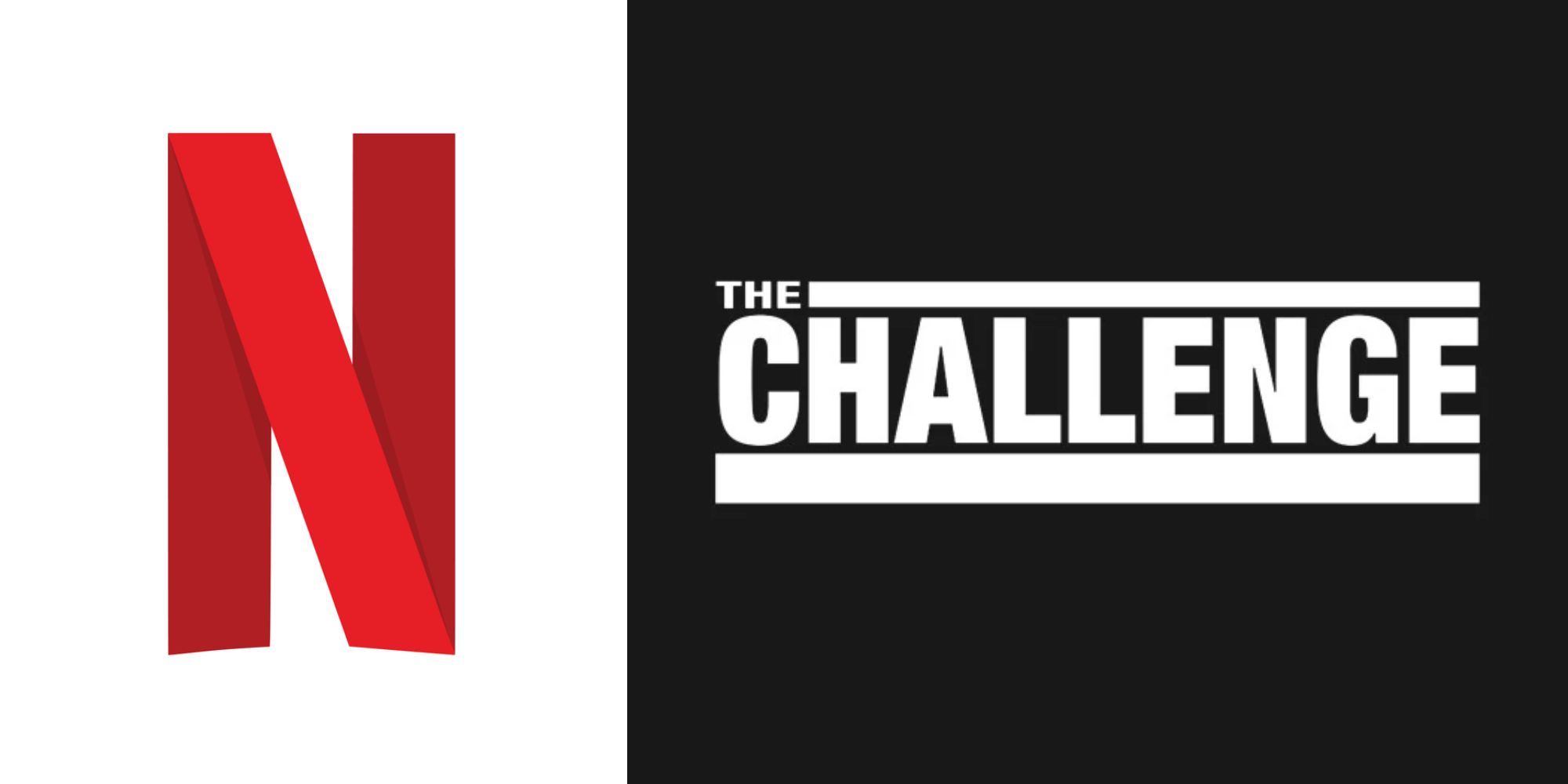 Netflix Rumored To Be Making The Challenge-Like Show With Reality Stars