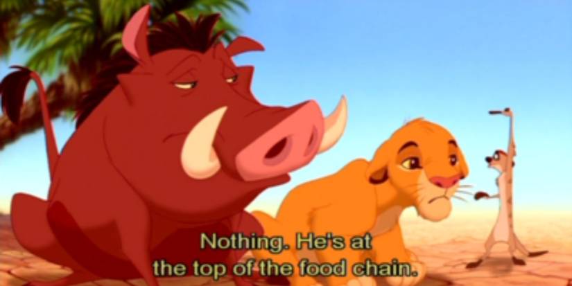 10 Quotes That Prove Timon & Pumbaa Have The Best Disney Friendship