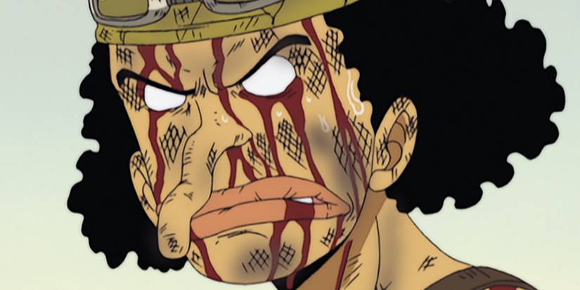 One Piece: Each Strawhat's Dumbest Idea