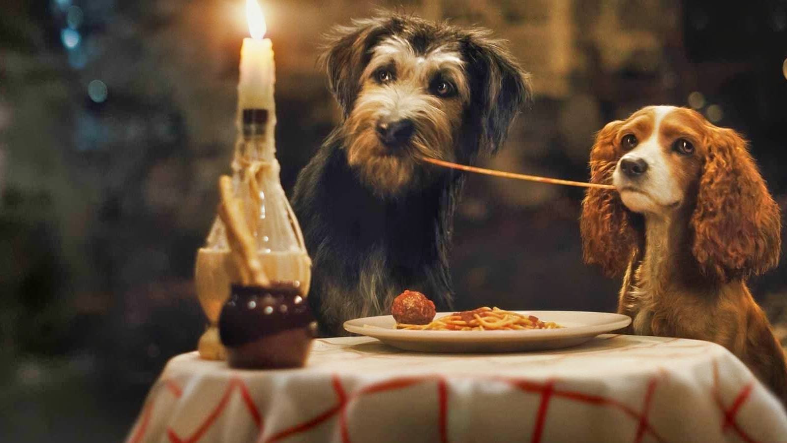 Where To Watch Lady And The Tramp (Netflix, Hulu, Disney+)